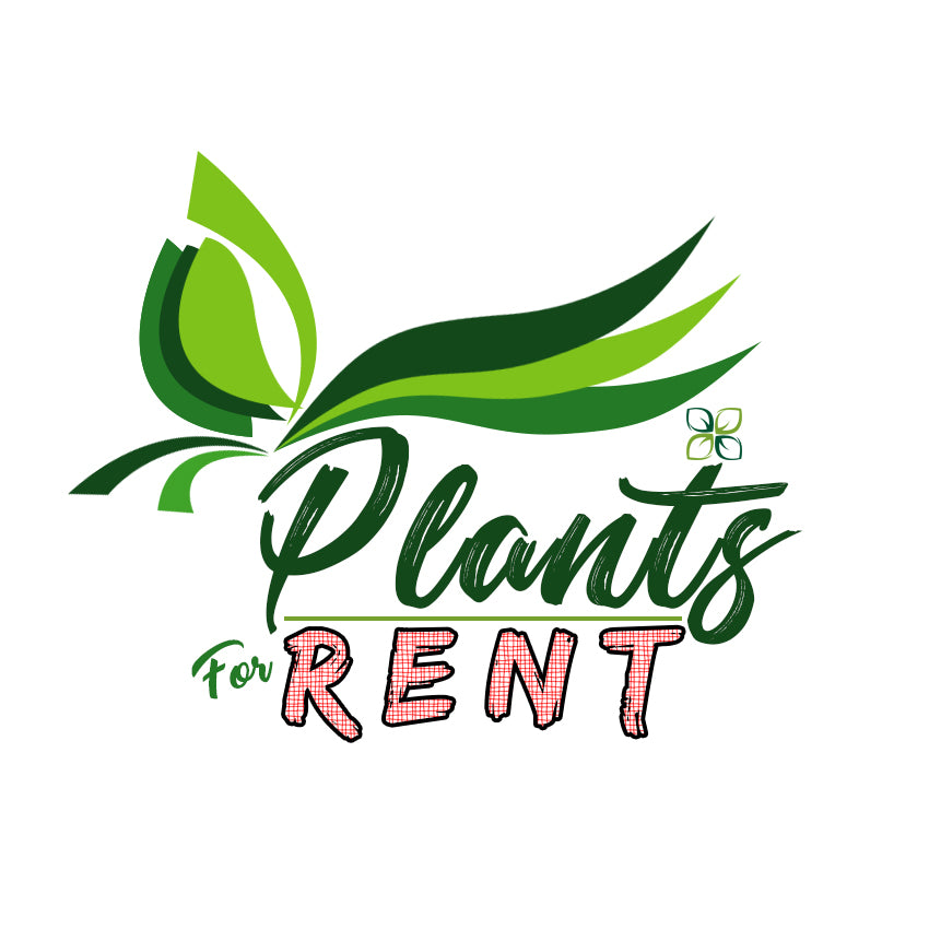 Plant Rental – Bastana Online Gardens